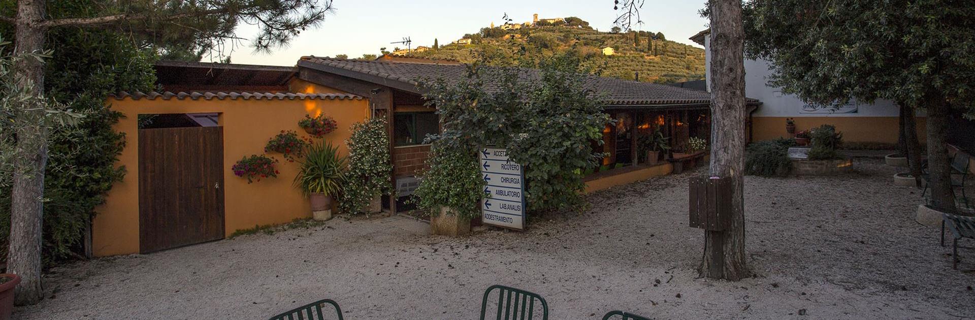 Clinica Veterinaria - Dr. Massimo Floris - Ambulatorio Euro Veterinaria ...